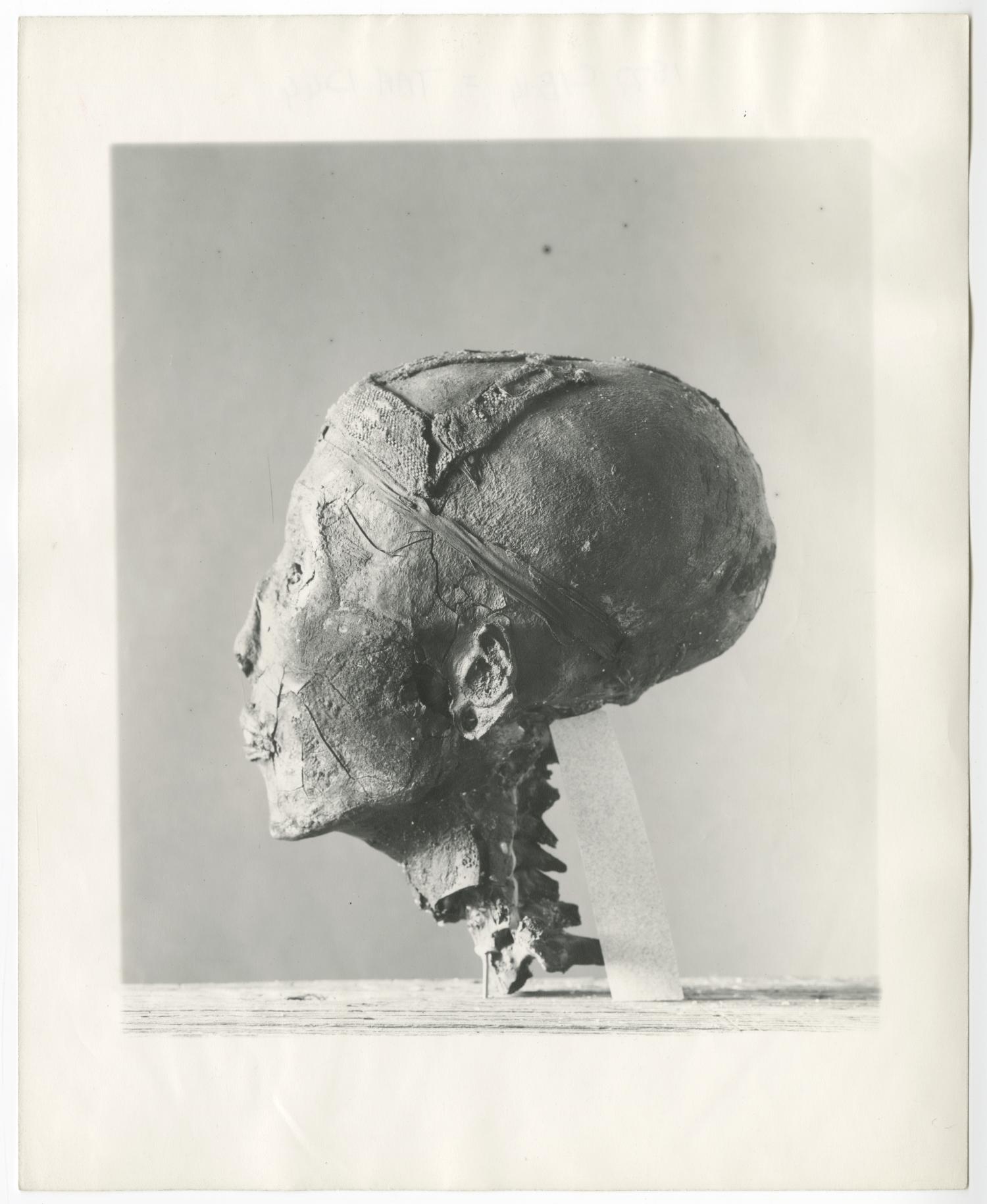 TAA i.7.P1577.TAA1244 | Tutankhamun Spatial Archive